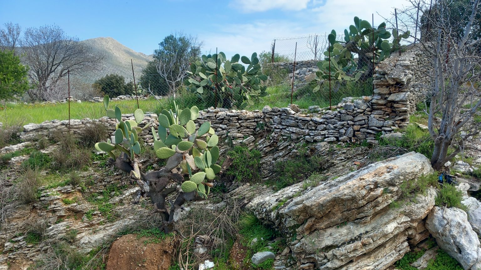 Symi, Συμη, Photos, Blog, News, Accommodation, Holidays, Weather, Art ...